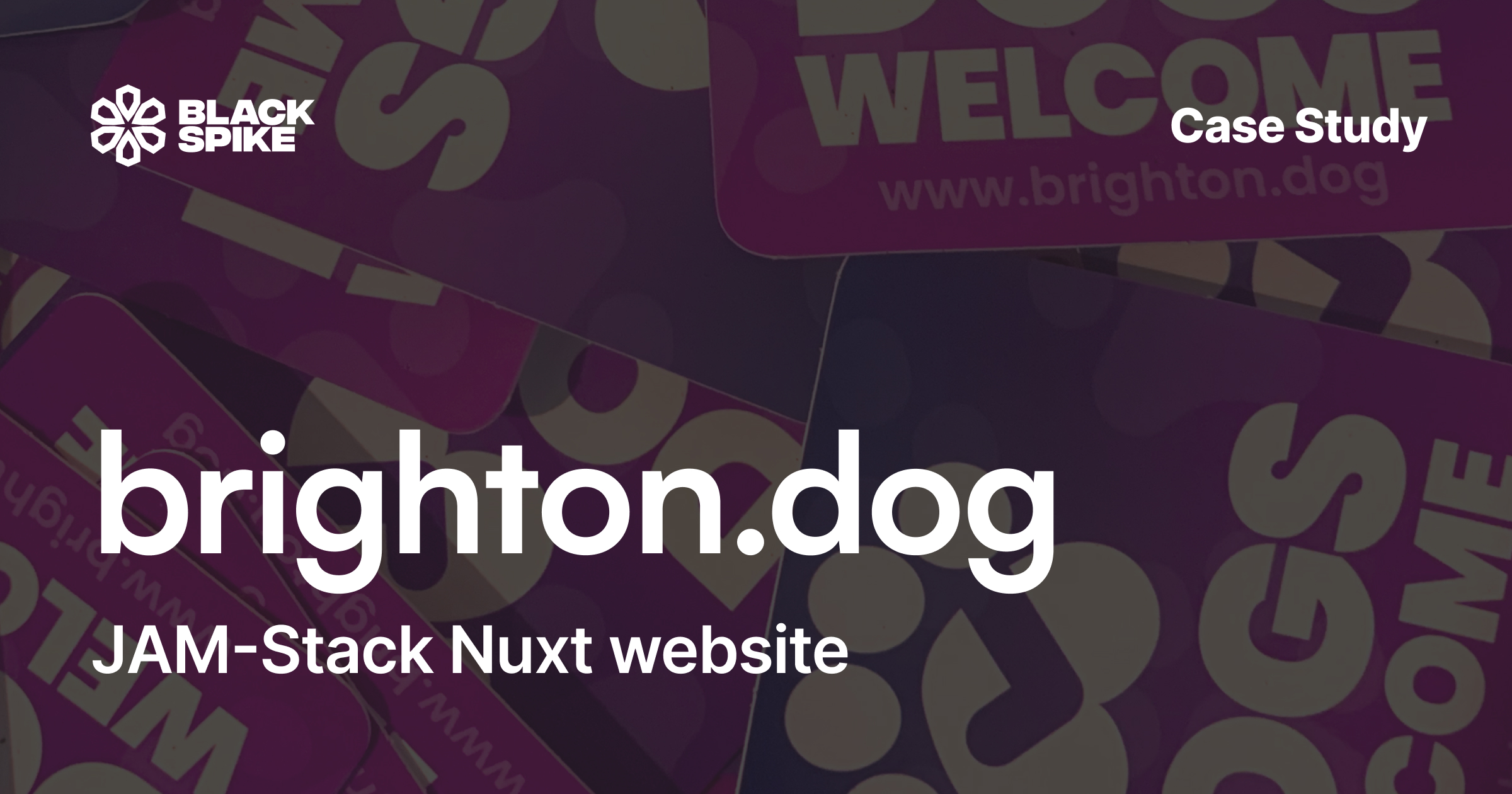 brighton.dog | case study | blackspike design - web design & development with Astro, Vue, Nuxt ...