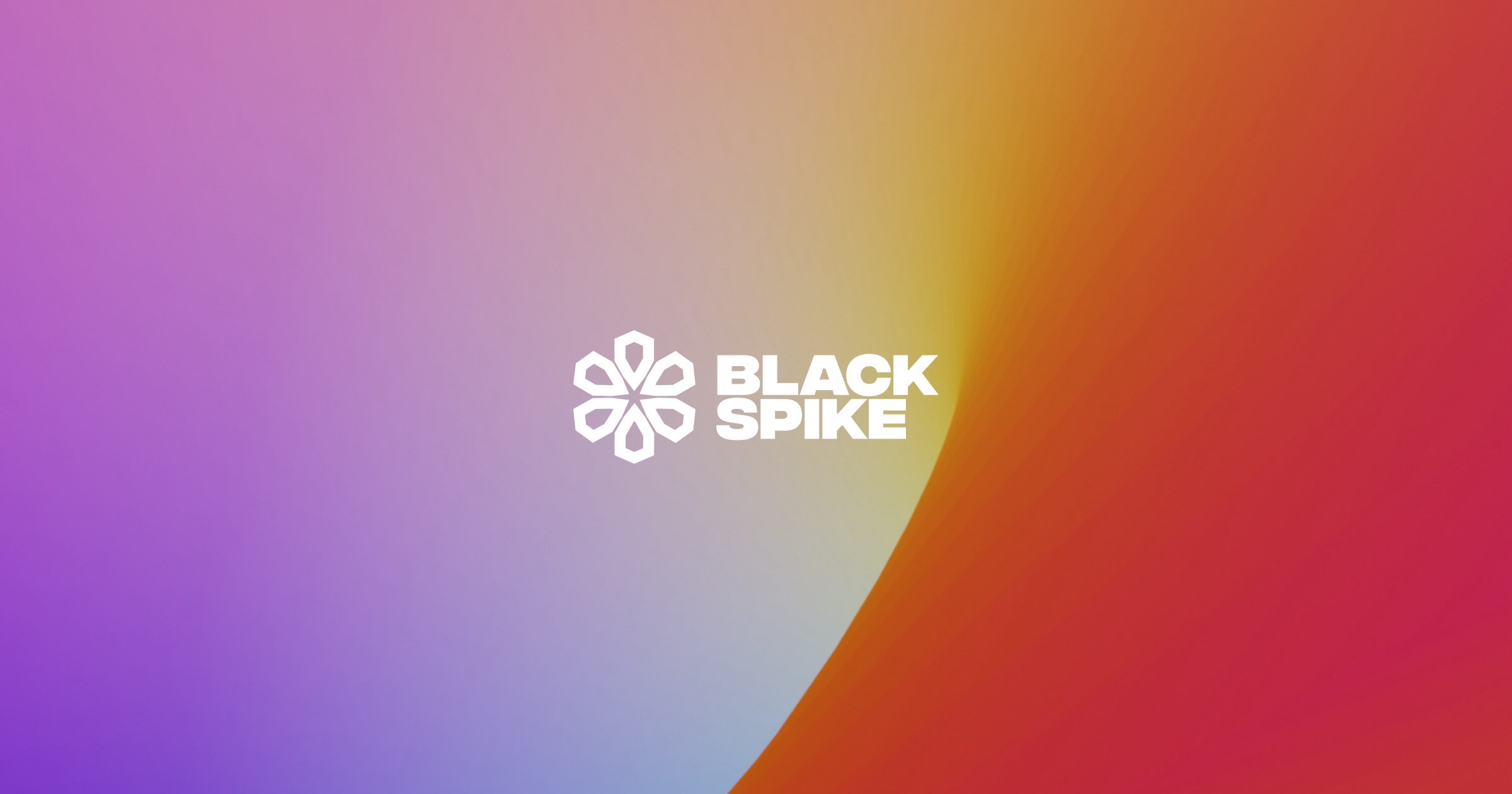 Case Studies | blackspike design - web design & development with Astro, Vue, Nuxt & Wordpress